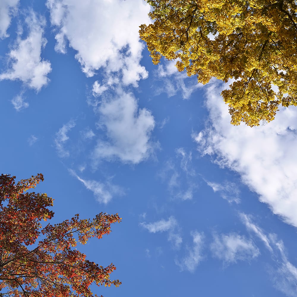 Sky Factory Master Image 8ex